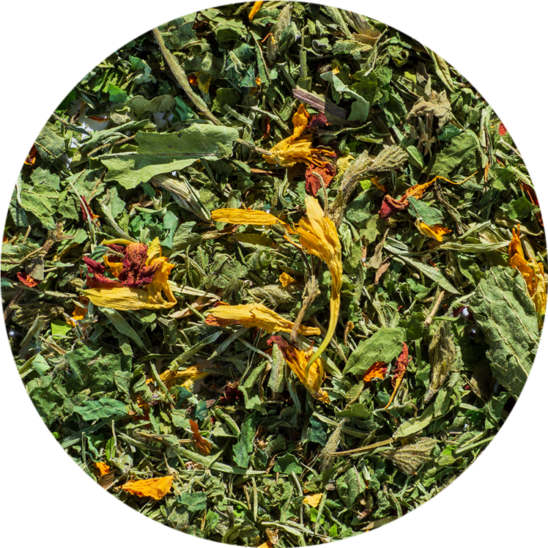 Potion de Borvo | Les Jardins de la Sorcière